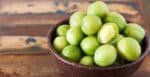 Conheça o umbu: fruta exótica do nordeste brasileiro
