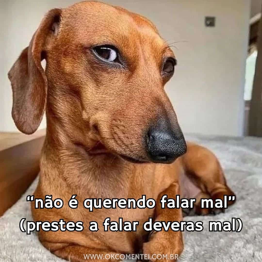42 memes engraçados que representam perfeitamente a vida real