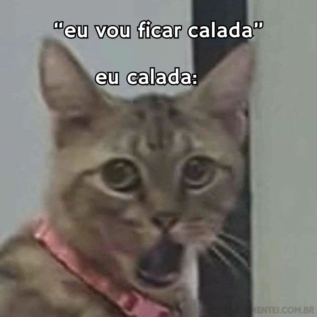 42 memes engraçados que representam perfeitamente a vida real