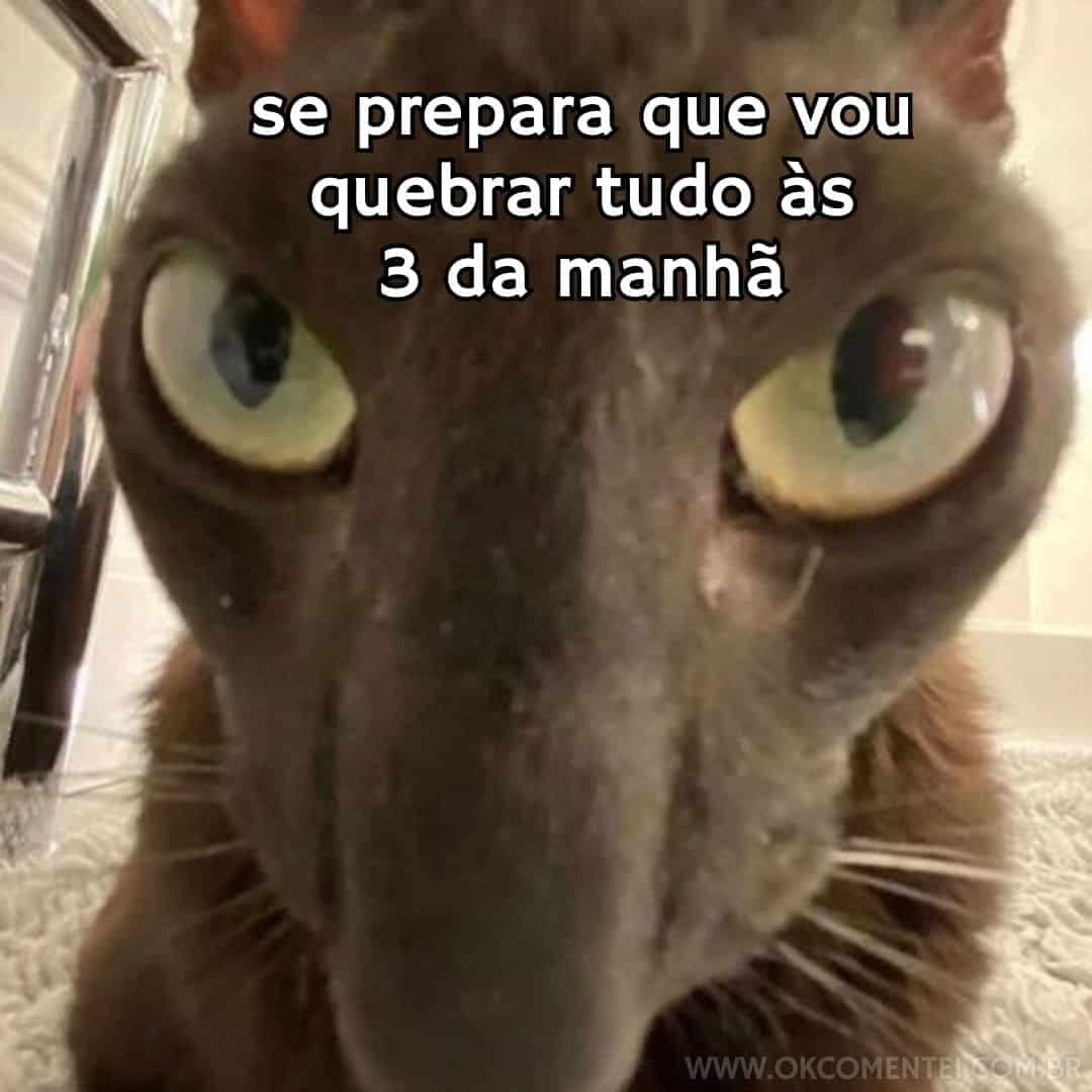 42 memes engraçados que representam perfeitamente a vida real