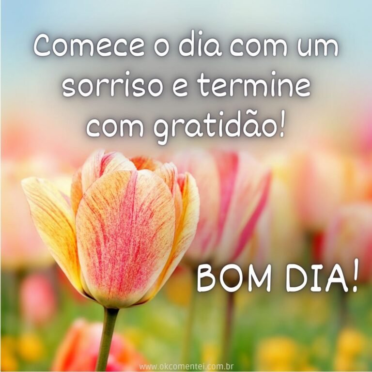 21 bom dia com flores para WhatsApp: as mais lindas mensagens