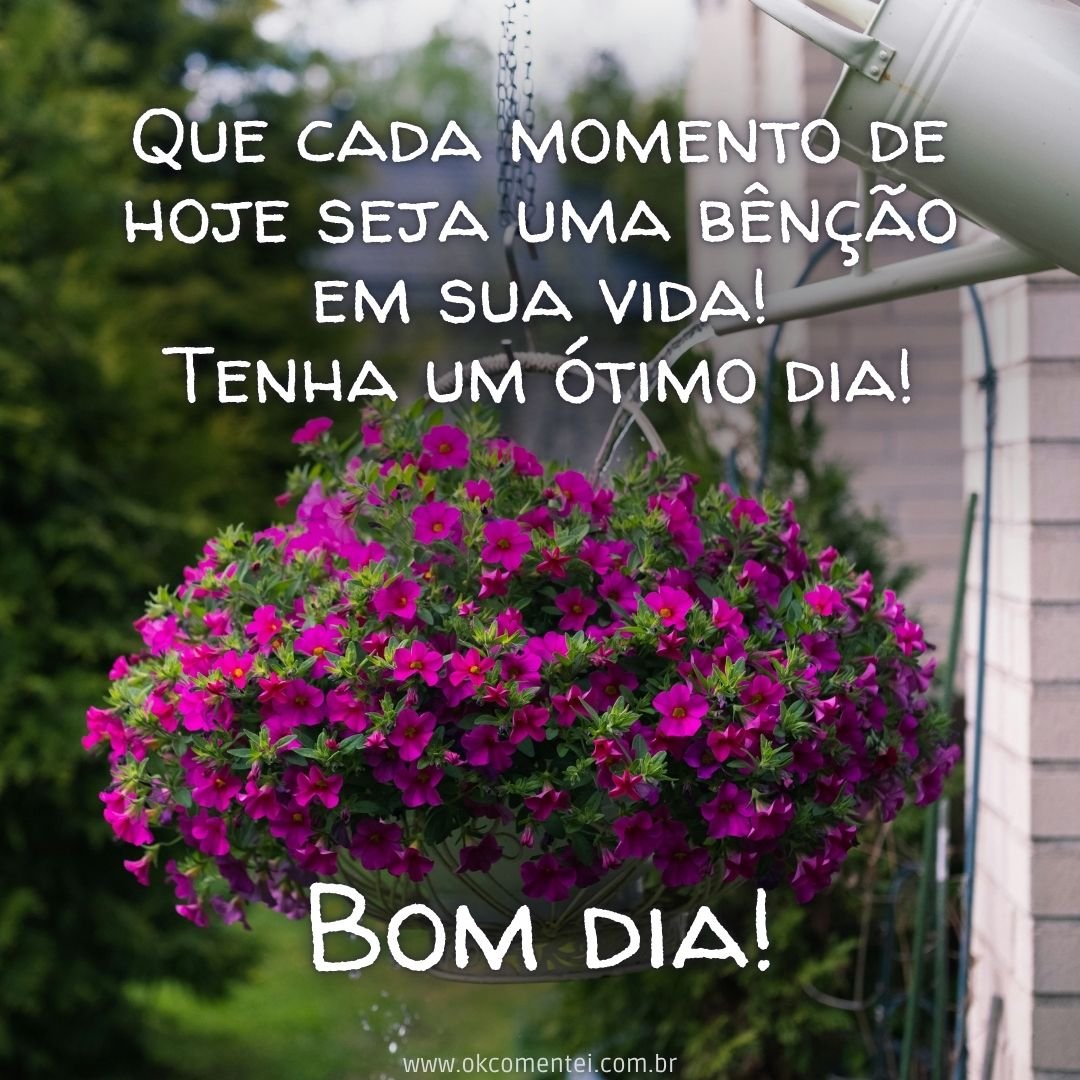 21 bom dia com flores para WhatsApp: as mais lindas mensagens