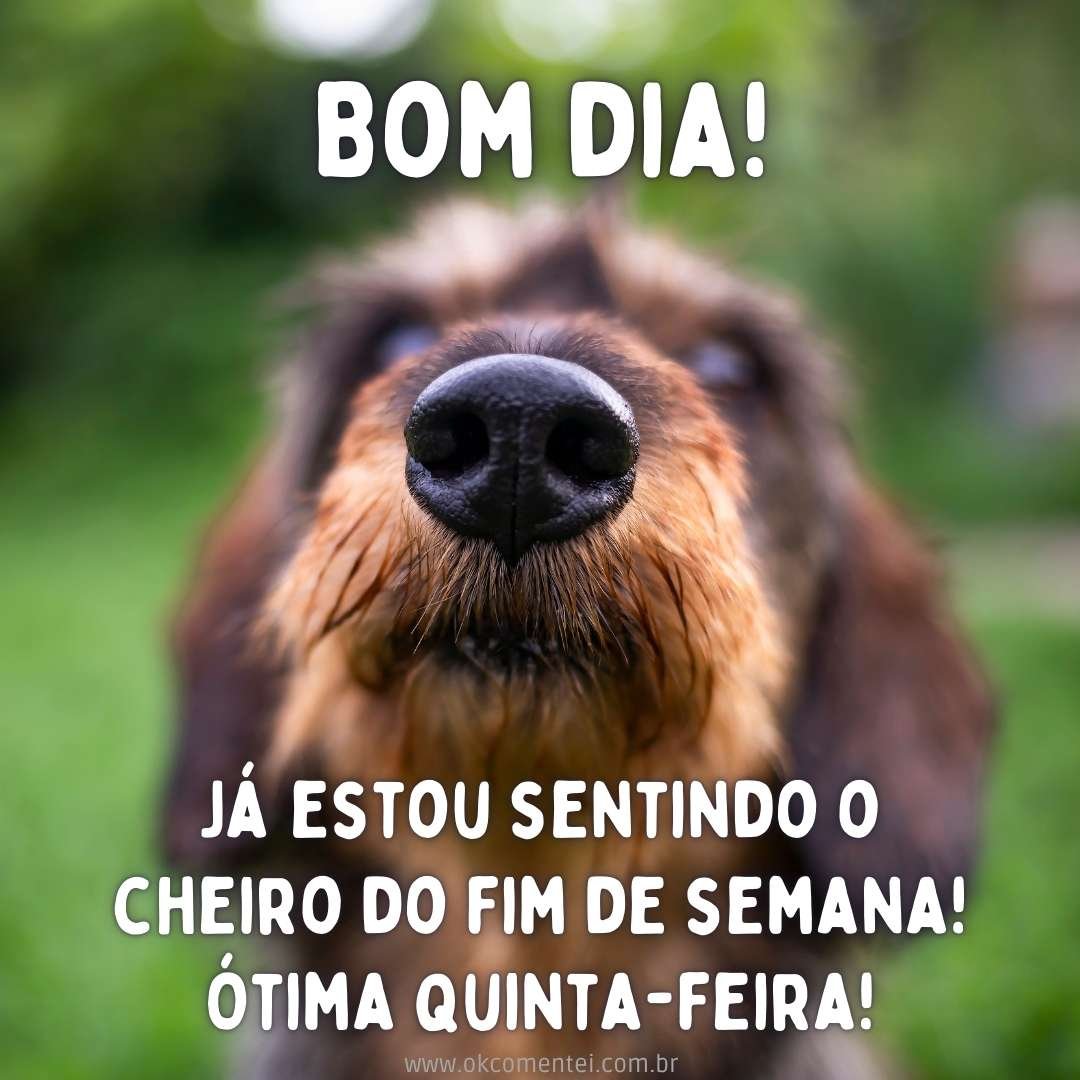 Bom dia, quinta-feira: 31 mensagens para um dia incrível