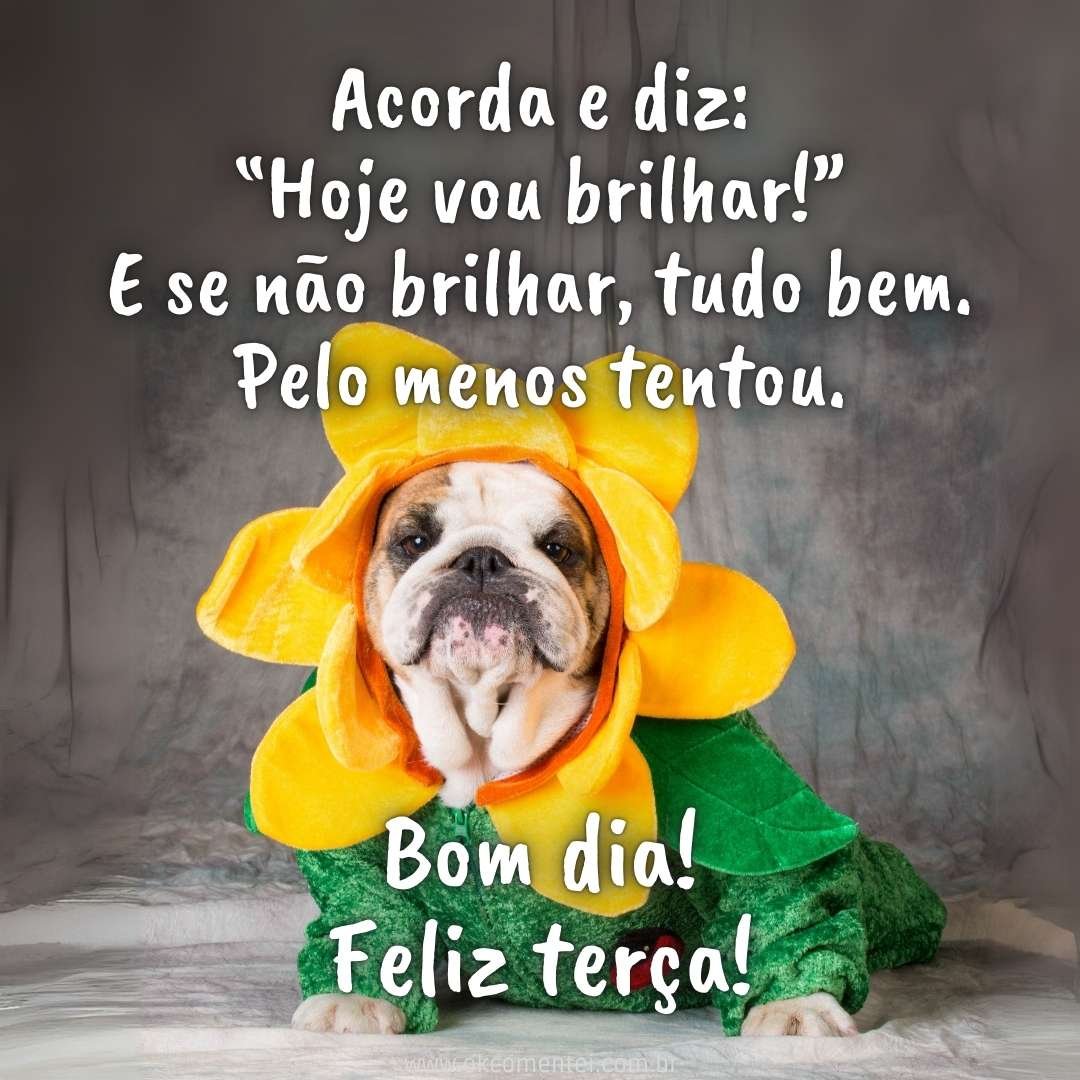 Bom dia, terça-feira: 35 mensagens inspiradoras para começar o dia