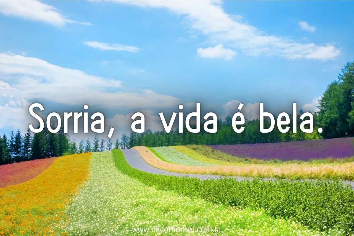 81 frases motivacionais curtas: o poder transformador em poucas palavras