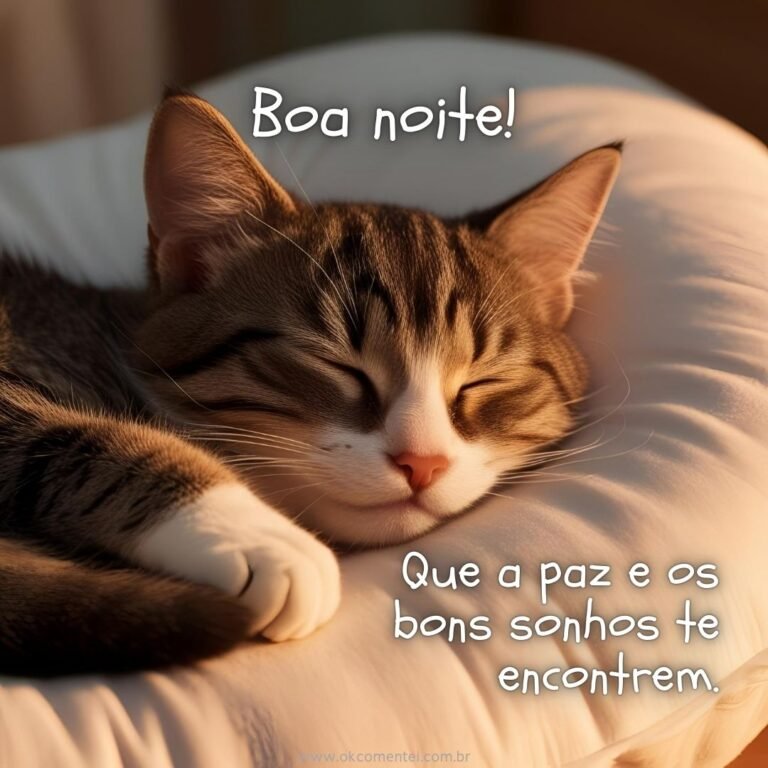 17 mensagens de boa noite fofo com imagens para desejar um doce descanso