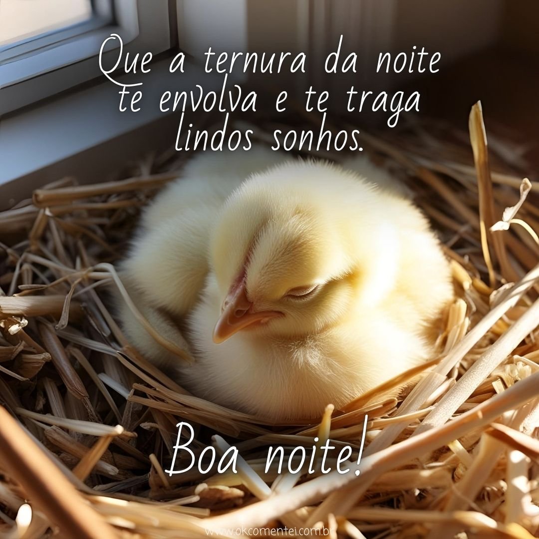 17 mensagens de boa noite fofo com imagens para desejar um doce descanso