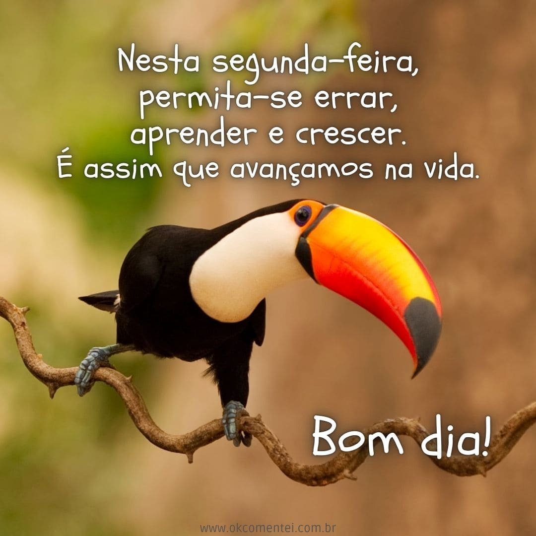 Bom dia, segunda-feira: 38 mensagens para começar a semana