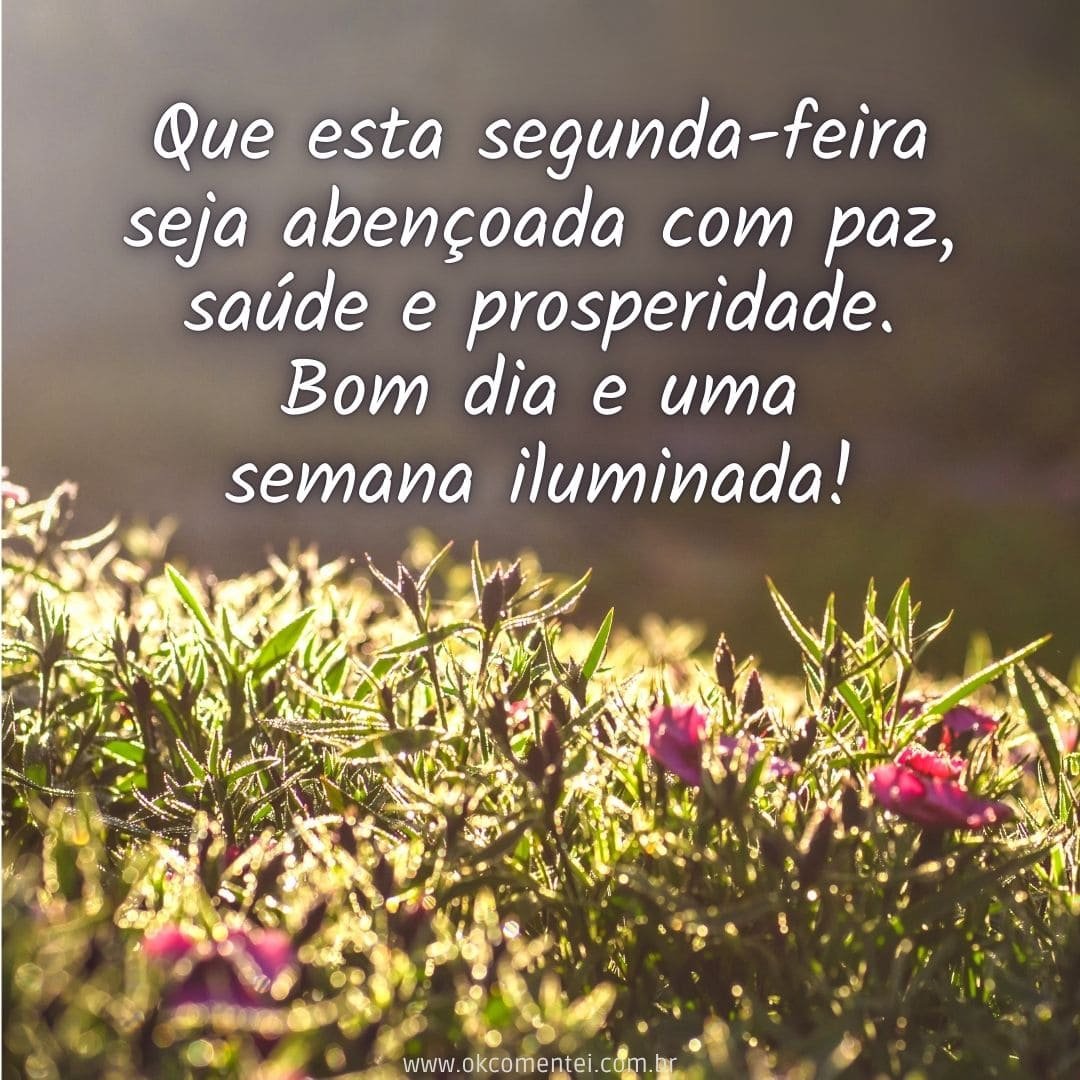 Bom dia, segunda-feira: 38 mensagens para começar a semana