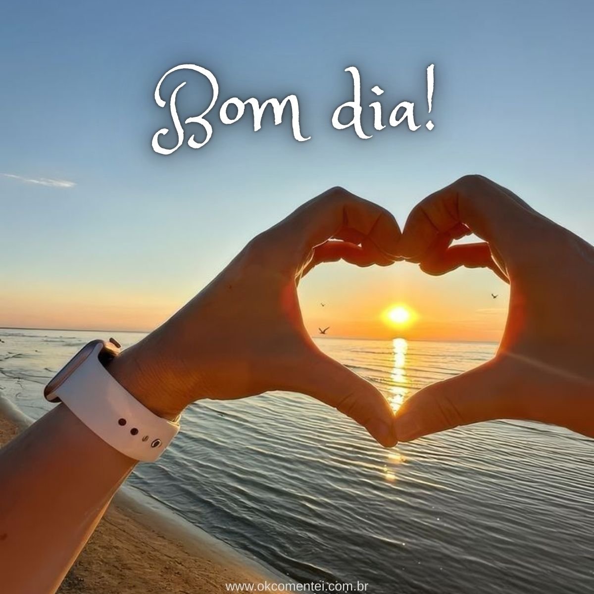 Imagem de bom dia: 31 opções perfeitas para compartilhar