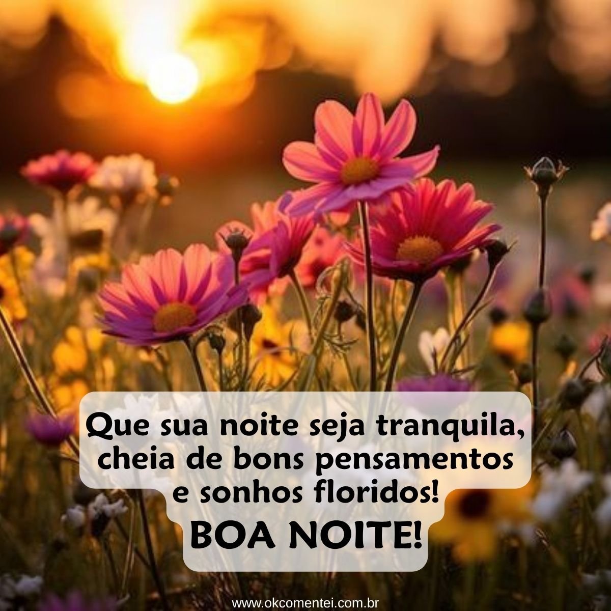 21 boa noite com flores para WhatsApp: as mais lindas mensagens