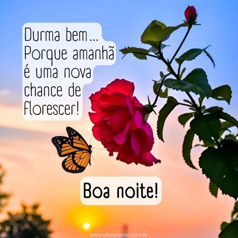 21 boa noite com flores para WhatsApp: as mais lindas mensagens