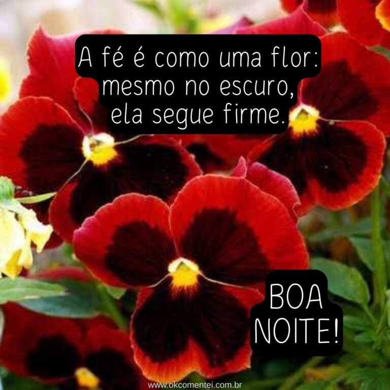 21 boa noite com flores para WhatsApp: as mais lindas mensagens