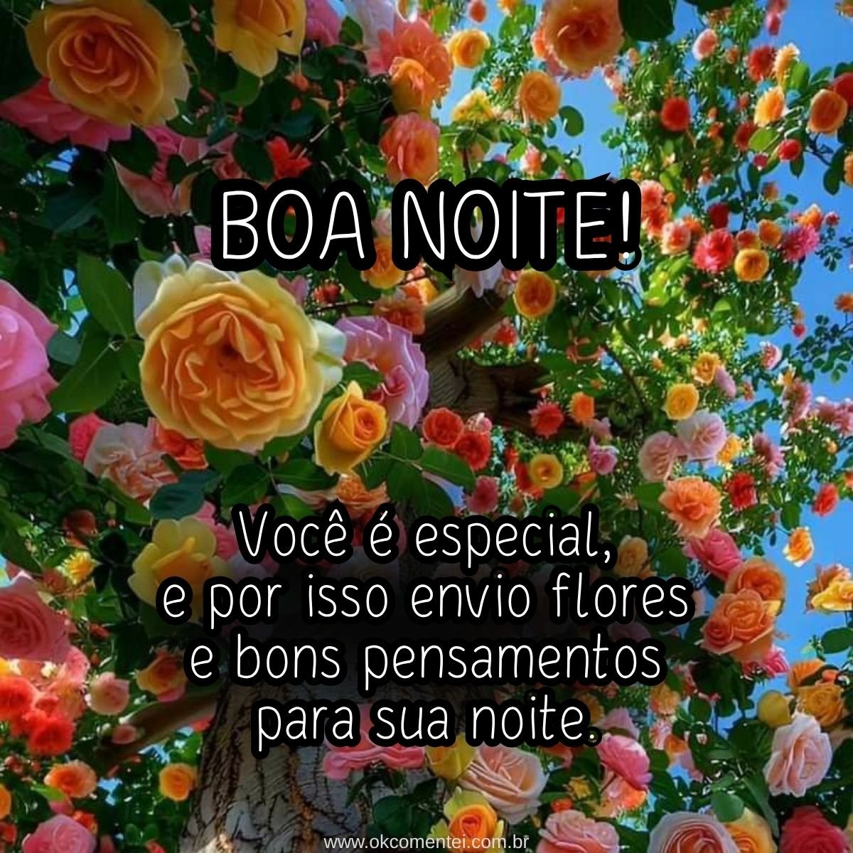 21 boa noite com flores para WhatsApp: as mais lindas mensagens