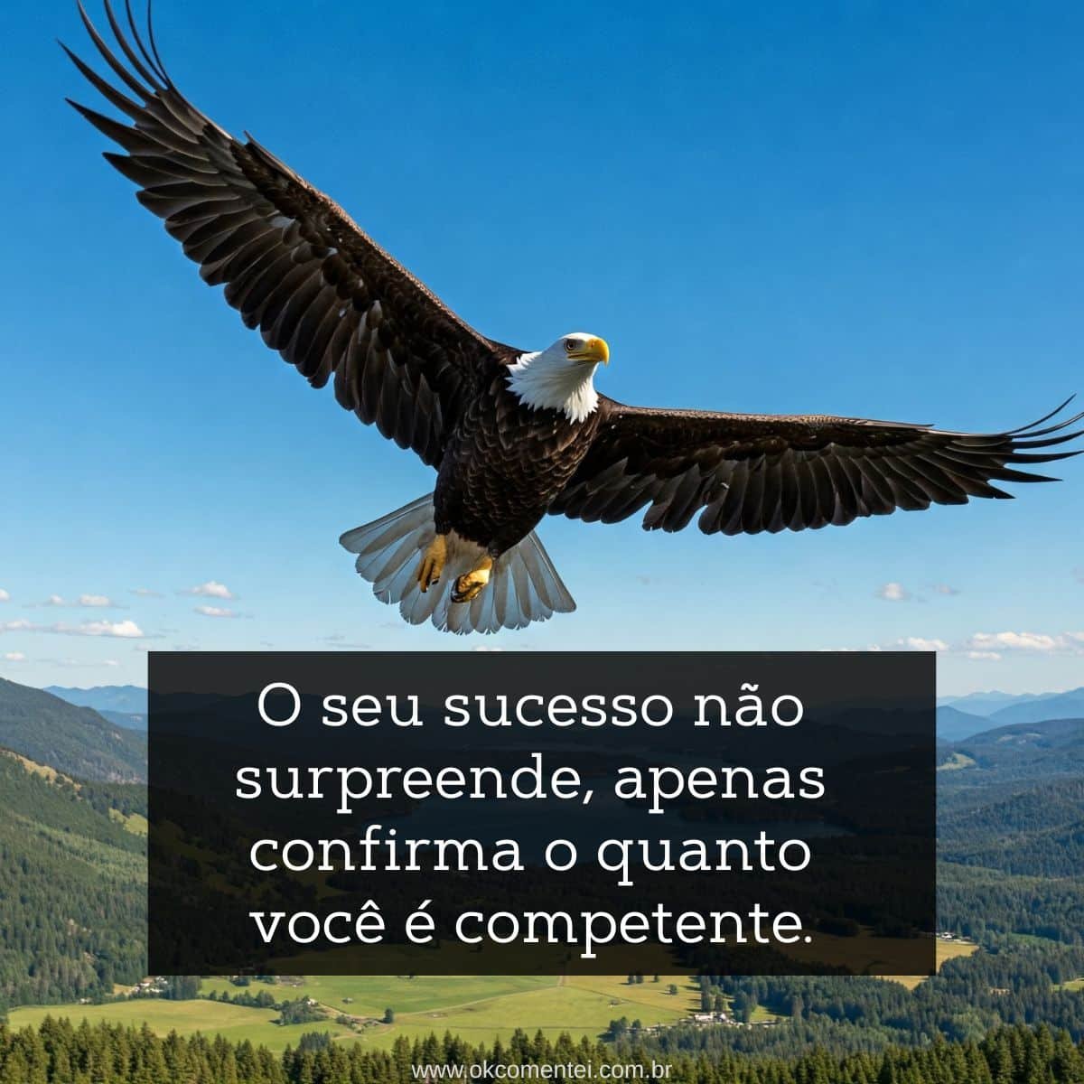 54 frases sobre sucesso profissional que inspiram e emocionam