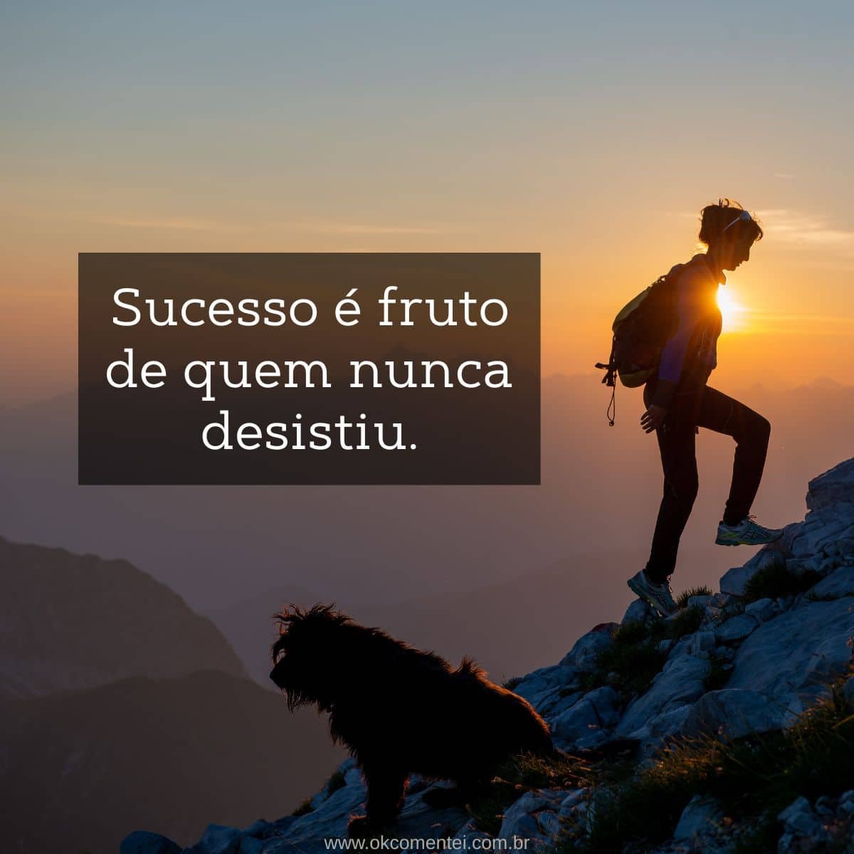 54 frases sobre sucesso profissional que inspiram e emocionam