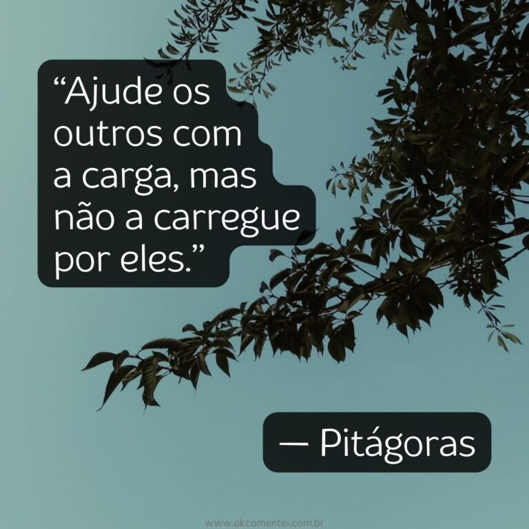 51 frases de sabedoria que transformam sua forma de ver a vida