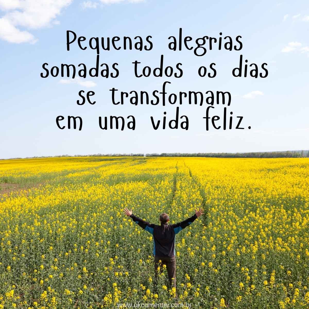 85 frases sobre felicidade para iluminar o seu dia