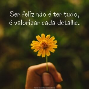 85 frases sobre felicidade para iluminar o seu dia