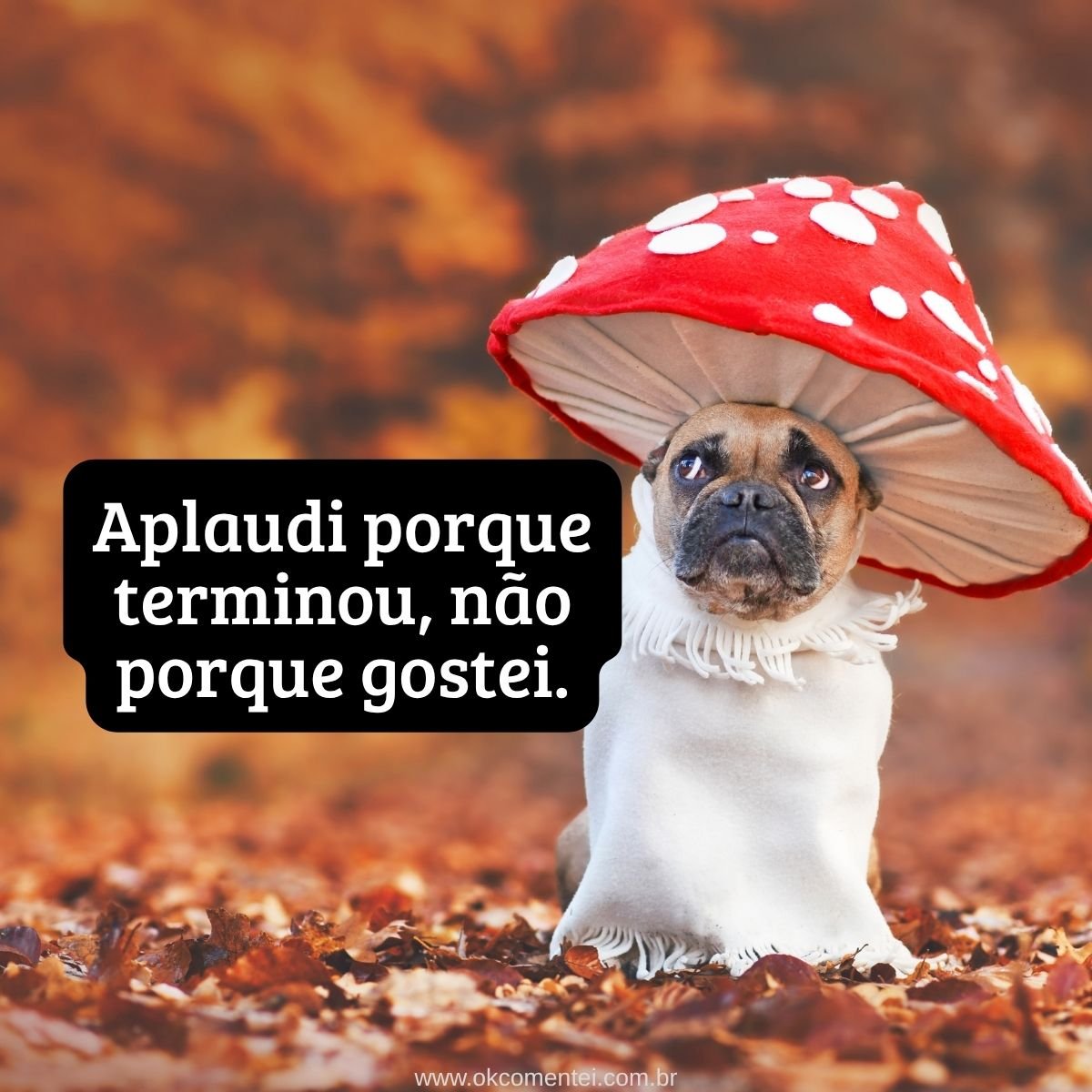 126 frases sarcásticas para quem pensa rápido