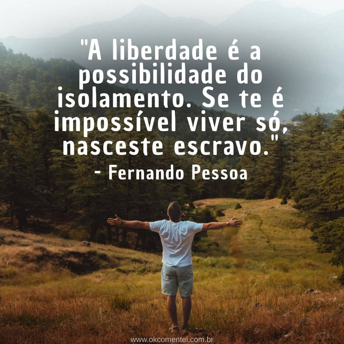 87 frases impactantes para inspirar, refletir e transformar seu dia